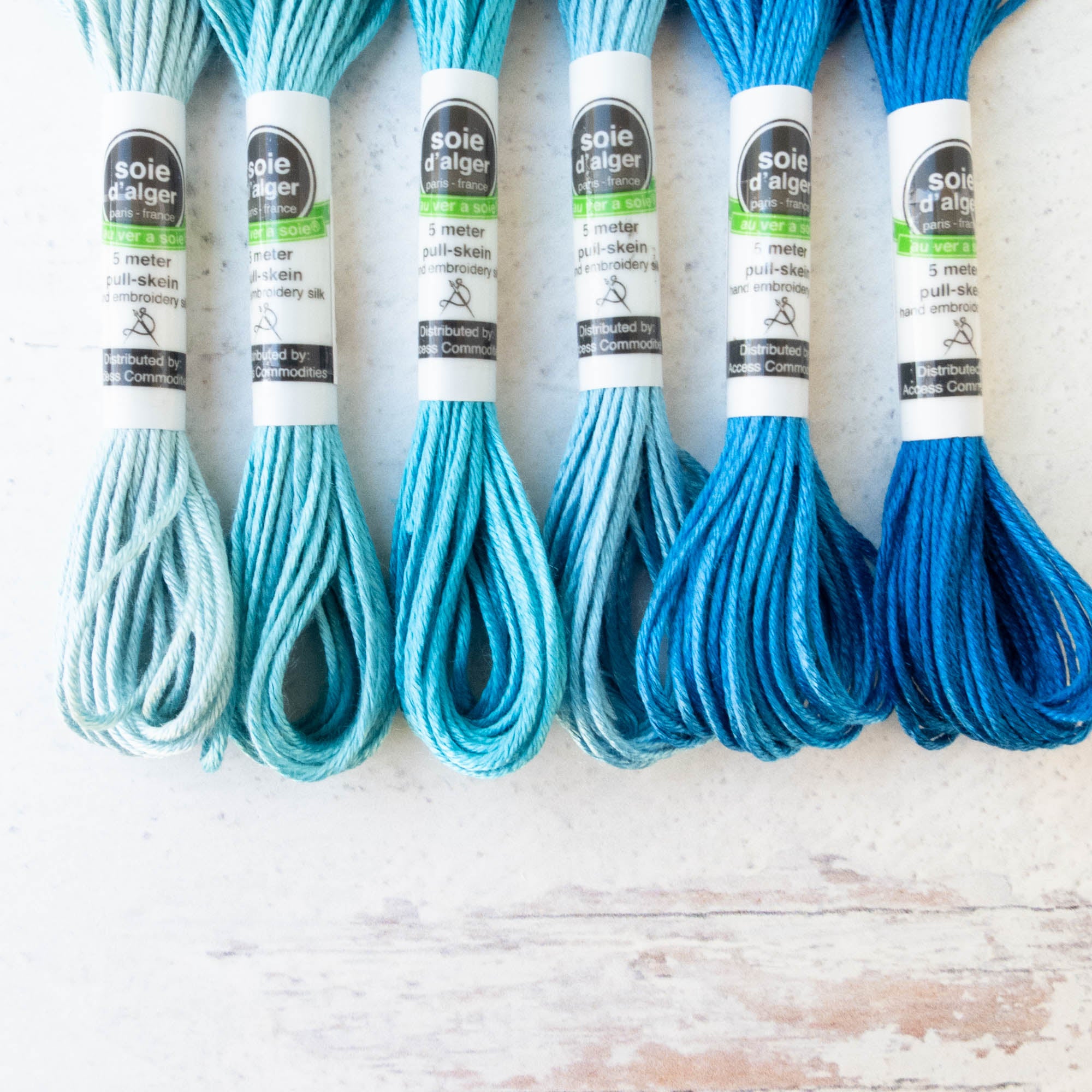 Soie d'Alger Silk Embroidery Thread - Blue – Snuggly Monkey